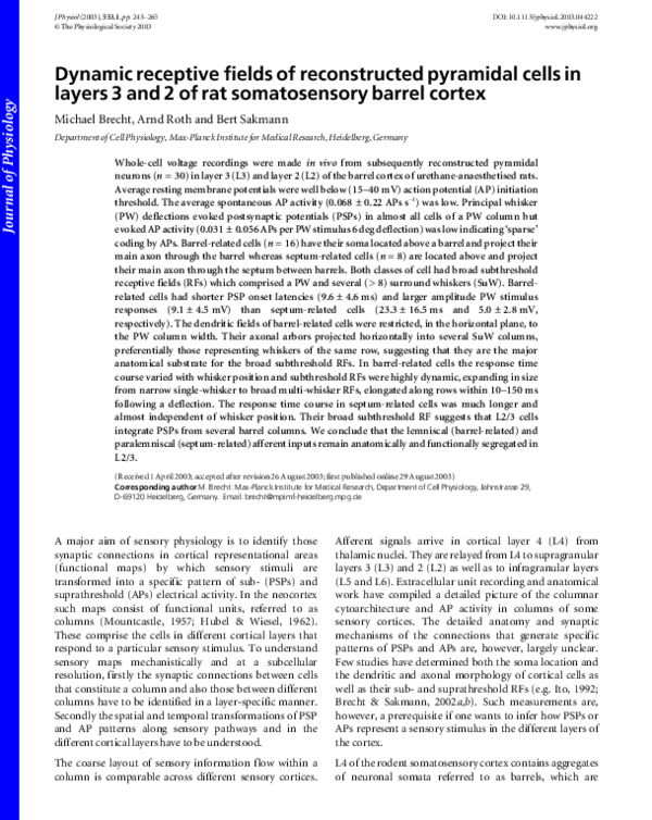 (PDF) Dynamic receptive fields of reconstructed pyramidal cells in layers 3 and 2 of rat ...