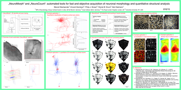 (PDF) NeuroMorph and NeuroCount: automated tools for fast and objective acquisition of neuronal ...