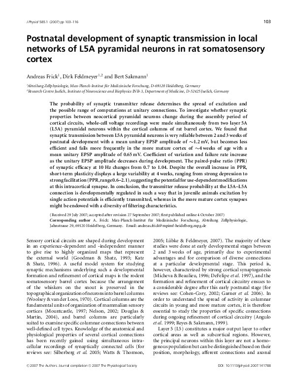 (PDF) Postnatal development of synaptic transmission in local networks ...