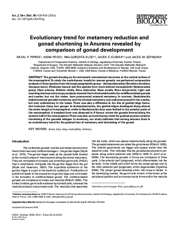 (PDF) Evolutionary trend for metamery reduction and gonad shortening in ...