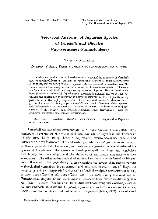(PDF) Seed-coat anatomy of Japanese species of Corydalis and Dicentra ...
