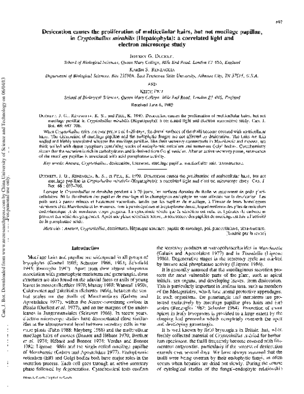 (PDF) Desiccation causes the proliferation of multicellular hairs, but ...
