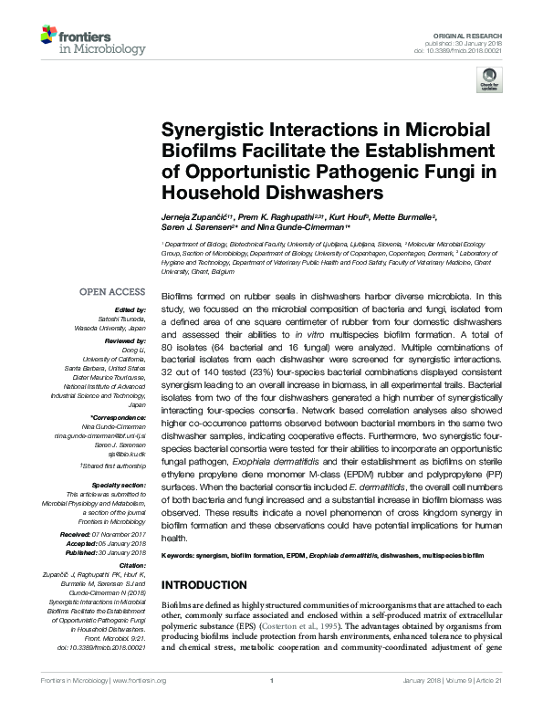 (PDF) Synergistic Interactions in Microbial Biofilms Facilitate the ...