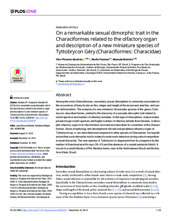 (PDF) On a remarkable sexual dimorphic trait in the Characiformes ...