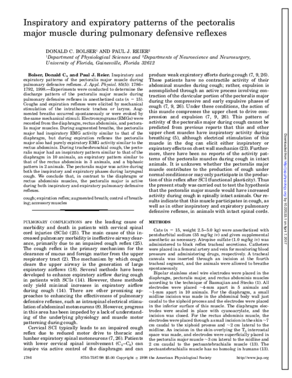 (PDF) Inspiratory and expiratory patterns of the pectoralis major ...