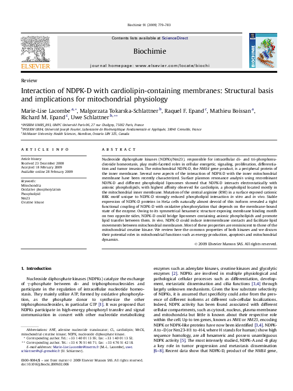 (PDF) Interaction of NDPK-D with cardiolipin-containing membranes ...