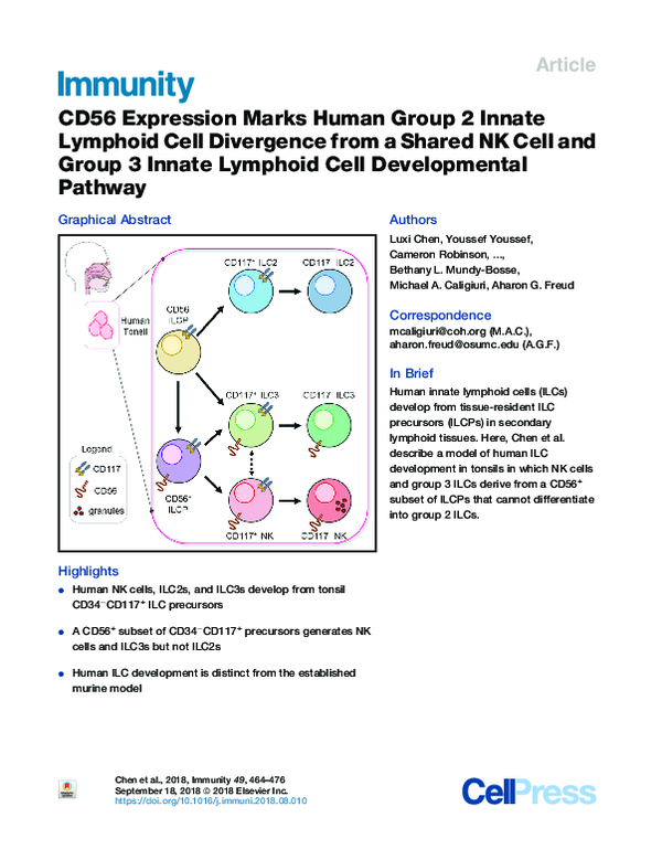 (PDF) CD56 Expression Marks Human Group 2 Innate Lymphoid Cell ...