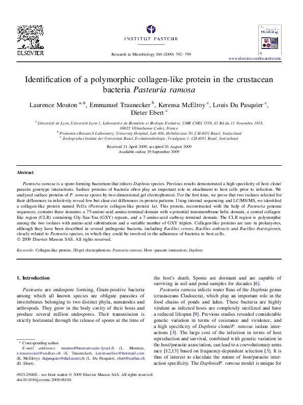 (PDF) Identification of a polymorphic collagen-like protein in the ...