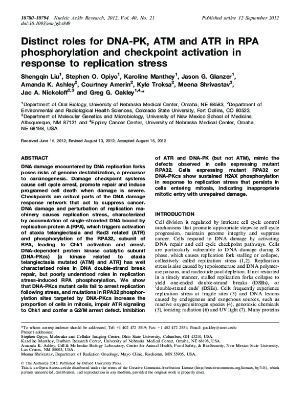 (PDF) Distinct roles for DNA-PK, ATM and ATR in RPA phosphorylation and checkpoint activation in ...
