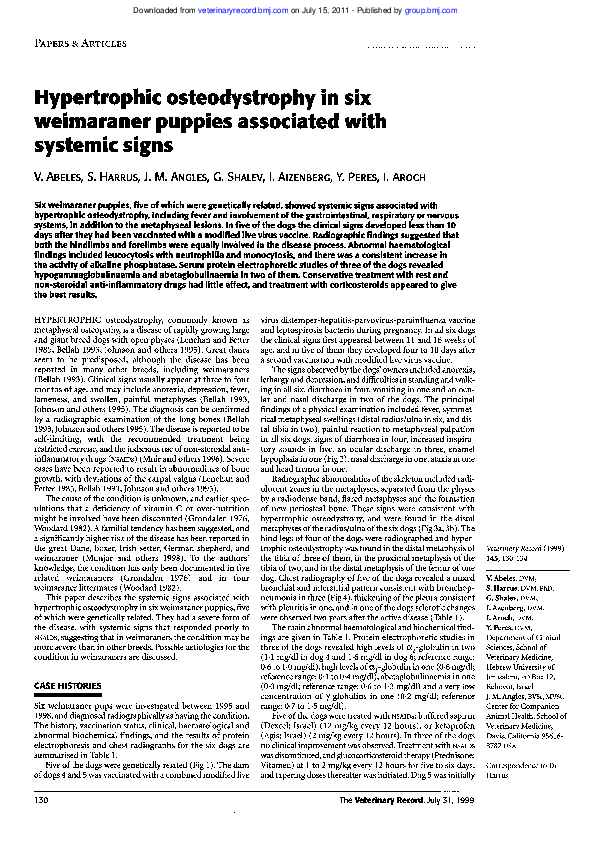 (PDF) Hypertrophic osteodystrophy in six weimaraner puppies associated ...