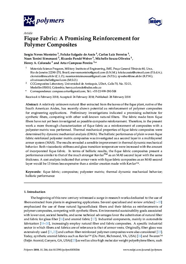 (PDF) Fique Fabric: A Promising Reinforcement for Polymer Composites