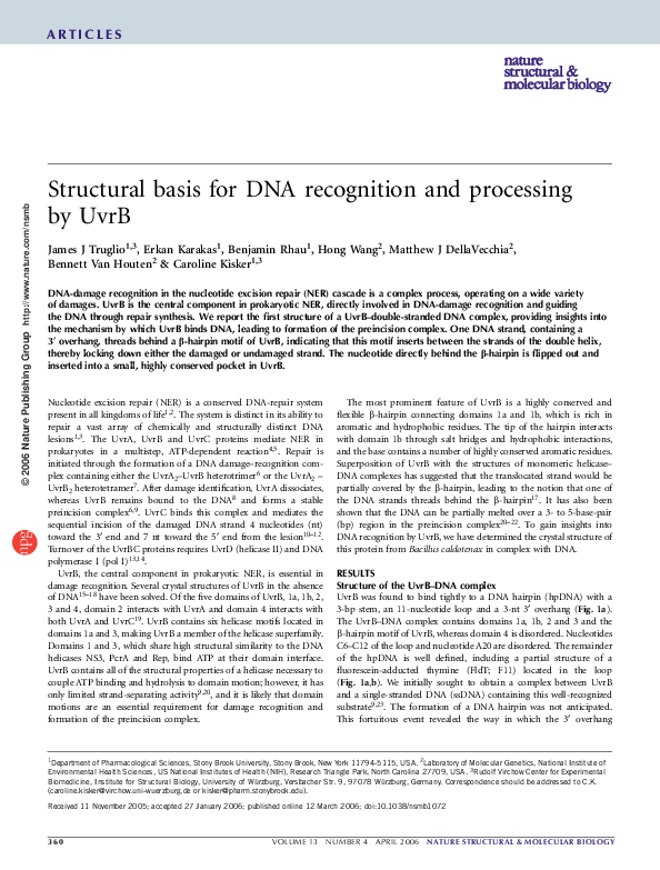 (PDF) Structural basis for DNA recognition and processing by UvrB