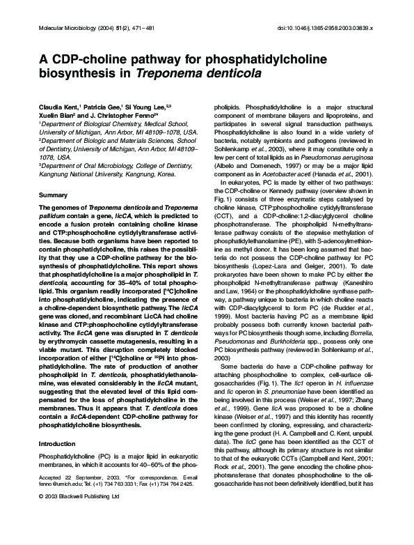(PDF) A CDP-choline pathway for phosphatidylcholine biosynthesis in ...