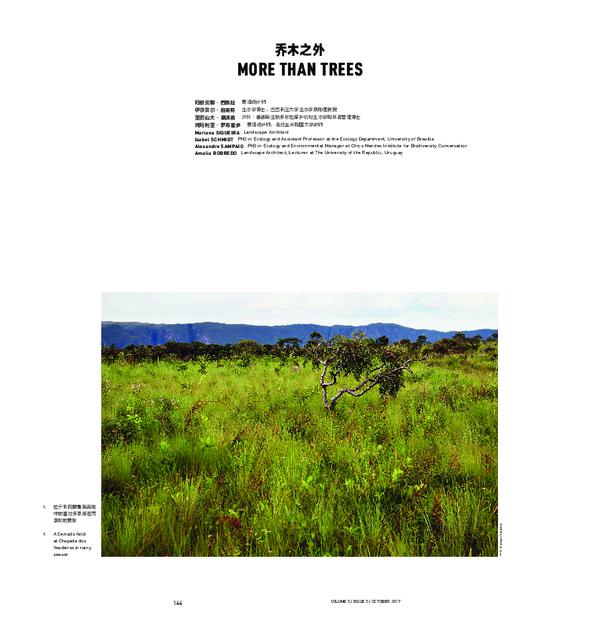 (PDF) More Than Trees