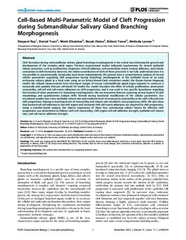 (PDF) Cell-Based Multi-Parametric Model of Cleft Progression during Submandibular Salivary Gland ...