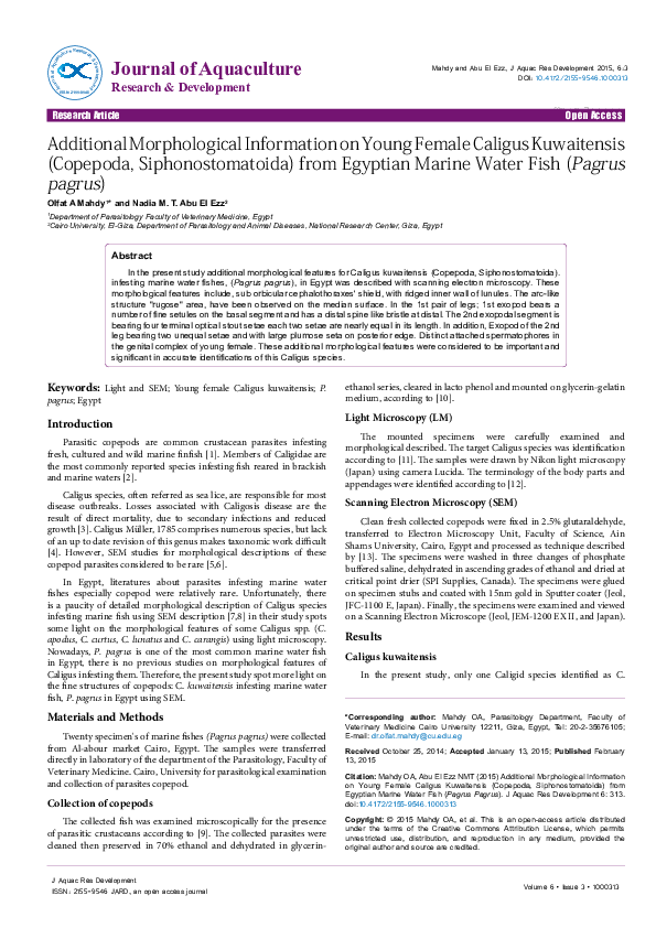 (PDF) Additional Morphological Information on Young Female Caligus ...