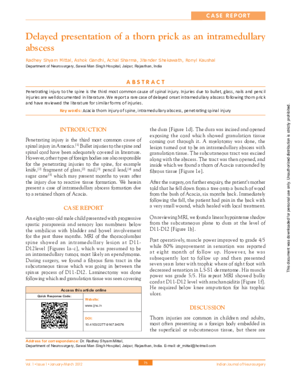 (PDF) Delayed presentation of a thorn prick as an intramedullary abscess