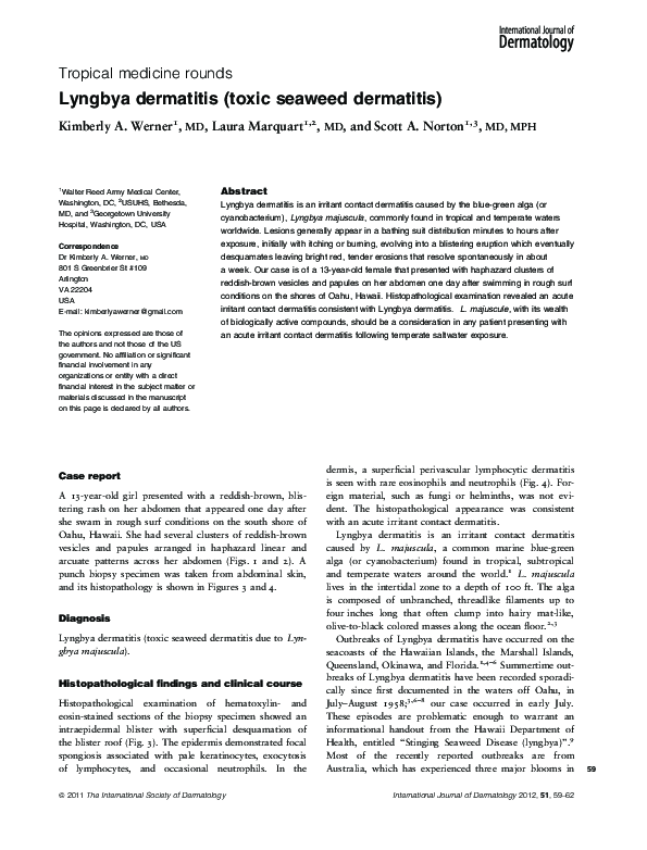 (PDF) Lyngbya dermatitis (toxic seaweed dermatitis)