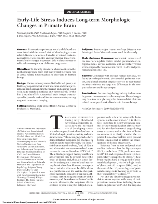 (PDF) Early-Life Stress Alters Primate Brain Structure
