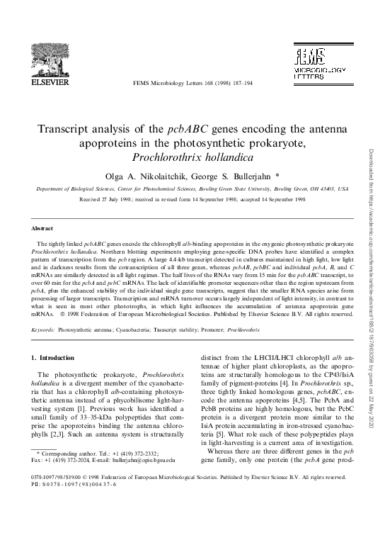 (PDF) Transcription of pcbABC Genes in Prochlorothrix