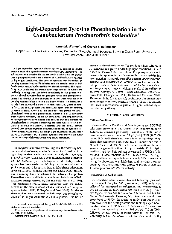 (PDF) Light-Dependent Tyrosine Phosphorylation in the Cyanobacterium ...