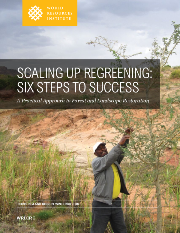 (PDF) Scaling Up Regreening: Six Steps to Success A practical approach ...