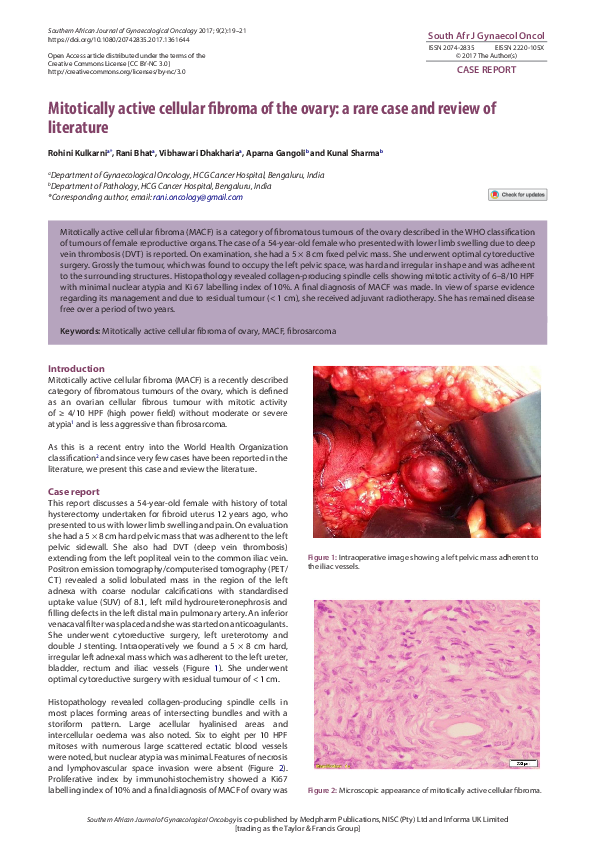 (PDF) Mitotically active cellular fibroma of the ovary: a rare case and ...