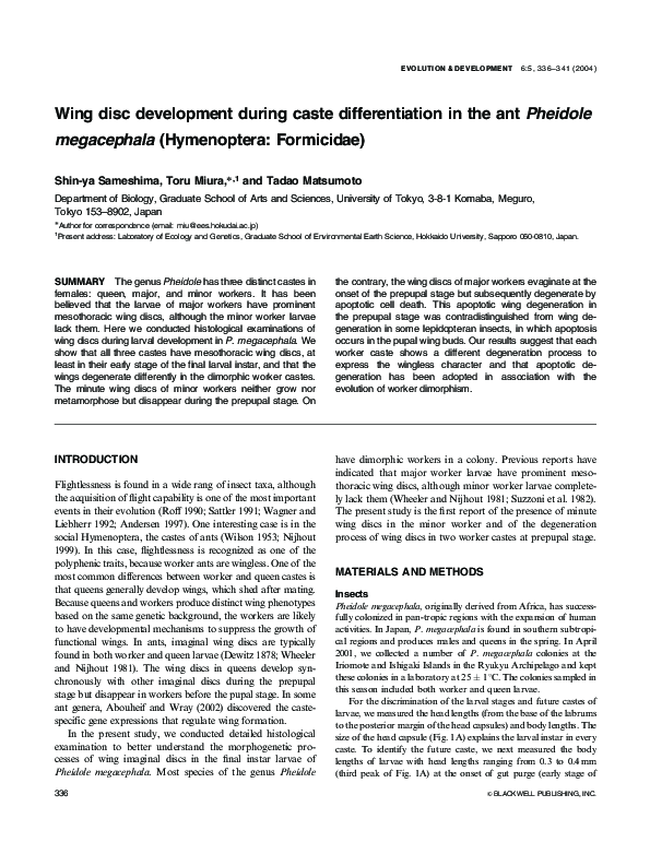 (PDF) Wing disc development during caste differentiation in the ant ...