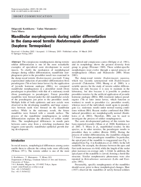 (PDF) Mandibular morphogenesis during soldier differentiation in the ...