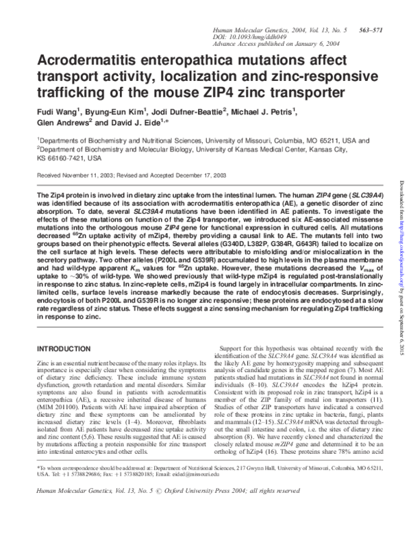 (PDF) Acrodermatitis enteropathica mutations affect transport activity ...