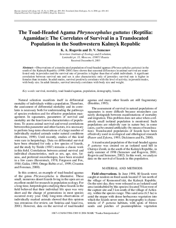(PDF) The Toad-Headed Agama Phrynocephalus guttatus (Reptilia: Agamidae ...