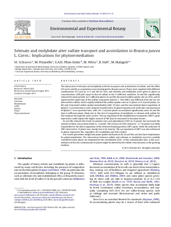(PDF) Selenate and molybdate alter sulfate transport and assimilation ...