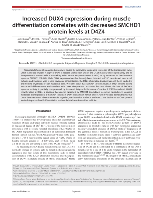 (PDF) Increased DUX4 expression during muscle differentiation ...
