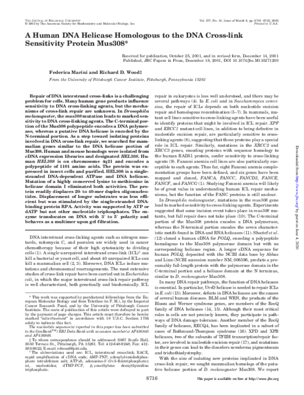 (PDF) A Human DNA Helicase Homologous to the DNA Cross-link Sensitivity ...