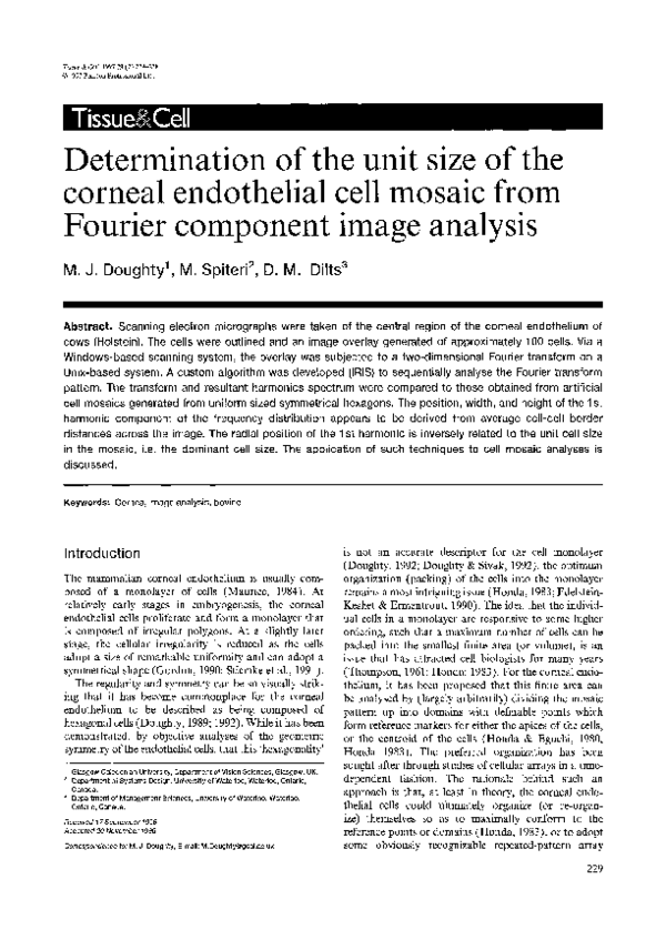 (PDF) Determination of the unit size of the corneal endothelial cell ...