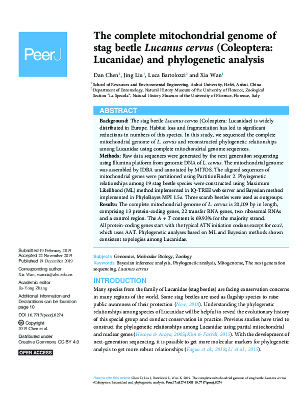 (PDF) The complete mitochondrial genome of stag beetle Lucanus cervus ...