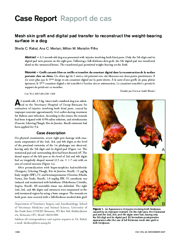 (PDF) Mesh skin graft and digital pad transfer to reconstruct the ...