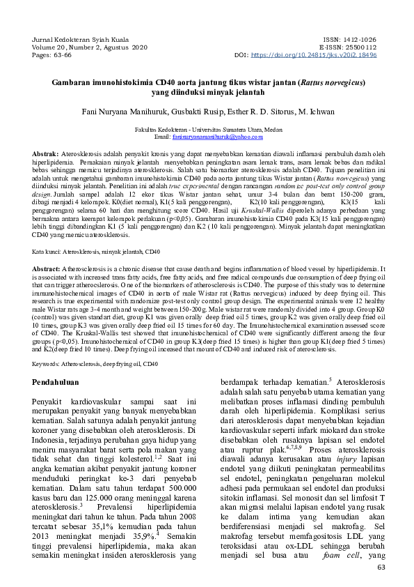 (PDF) Gambaran imunohistokimia CD40 aorta jantung tikus wistar jantan ...