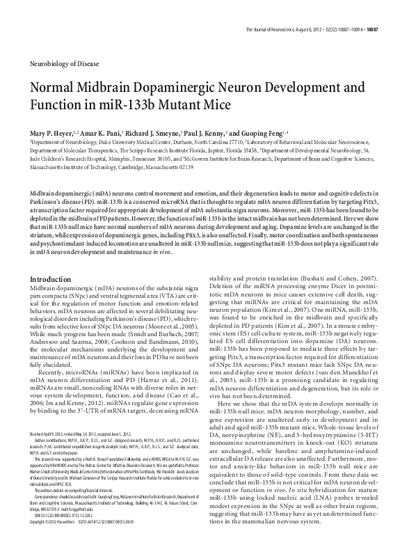 (PDF) Normal Midbrain Dopaminergic Neuron Development and Function in ...