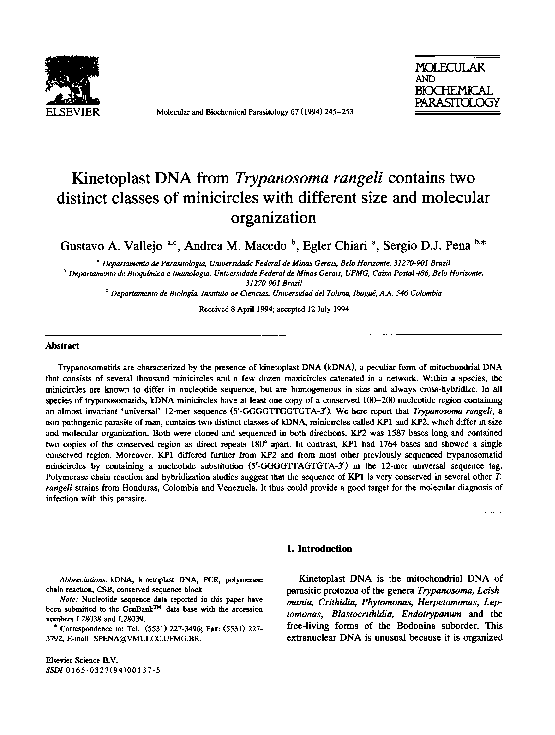 Kinetoplast DNA from Trypanosoma rangeli contains two distinct classes ...