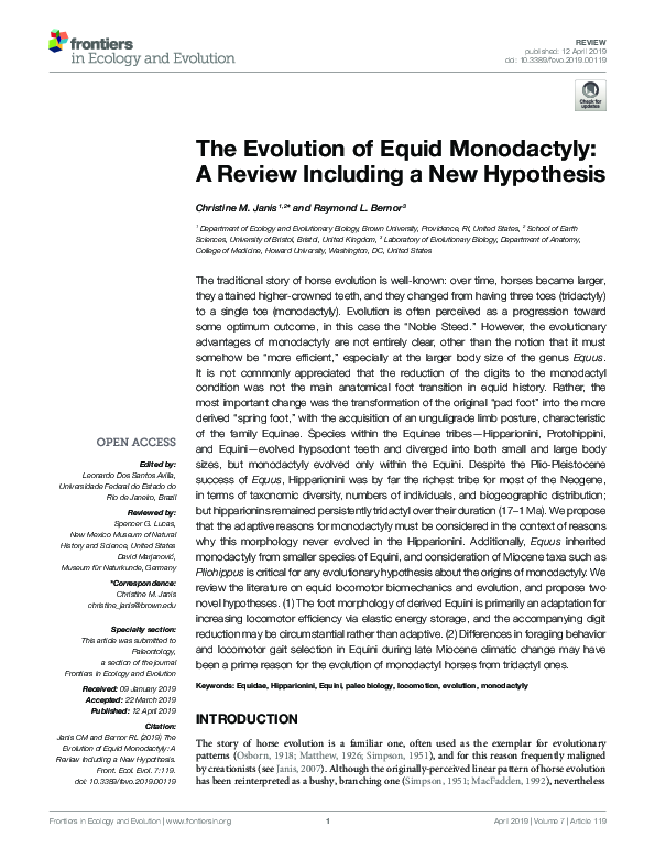 (PDF) The Evolution of Equid Monodactyly: A Review Including a New ...