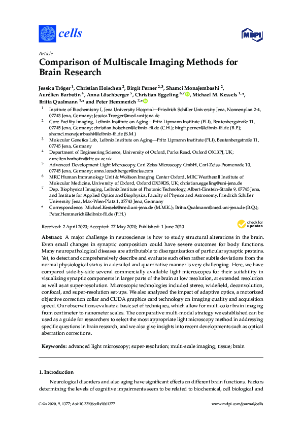 (PDF) Comparison of Multiscale Imaging Methods for Brain Research