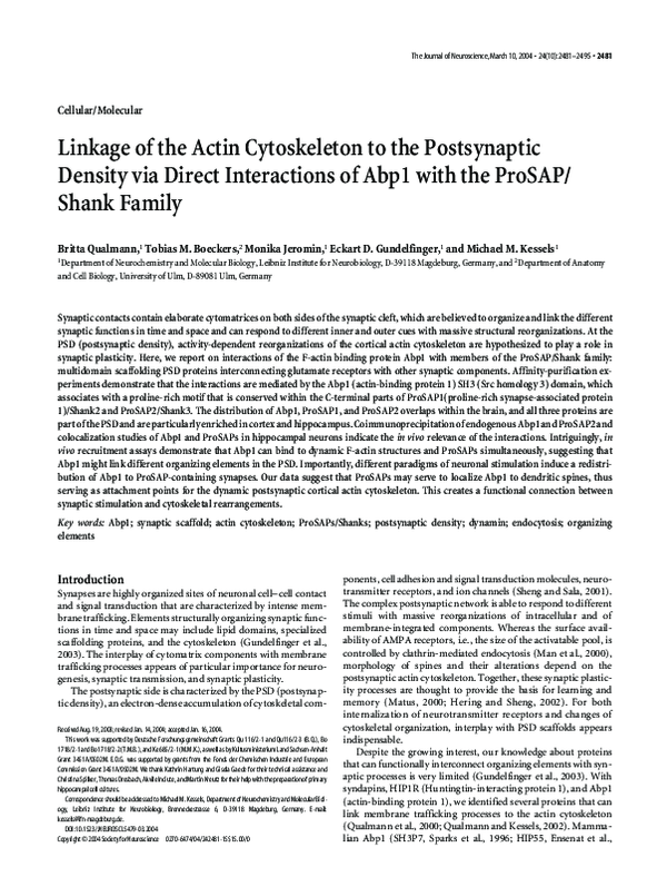 (PDF) Linkage of the Actin Cytoskeleton to the Postsynaptic Density via ...