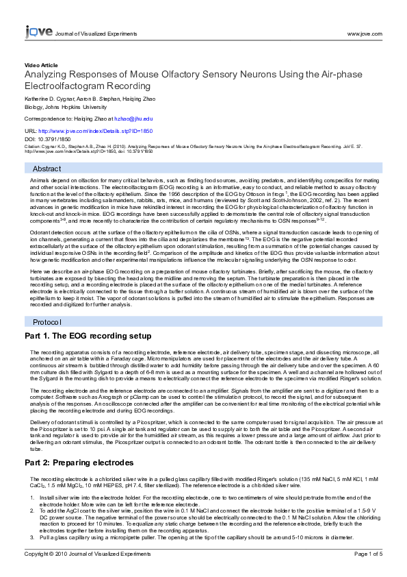 (PDF) Analyzing responses of mouse olfactory sensory neurons using the air-phase ...