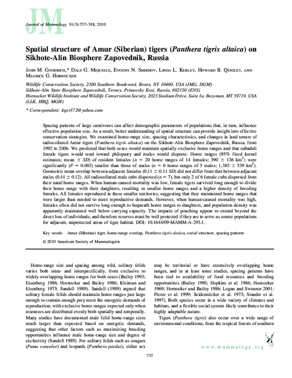(PDF) Spatial structure of Amur (Siberian) tigers (Panthera tigris ...