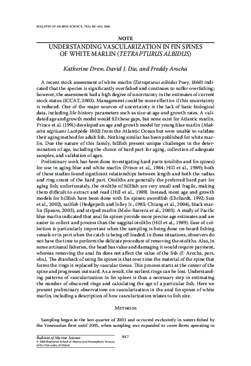 (PDF) Understanding vascularization in fin spines of white marlin ...