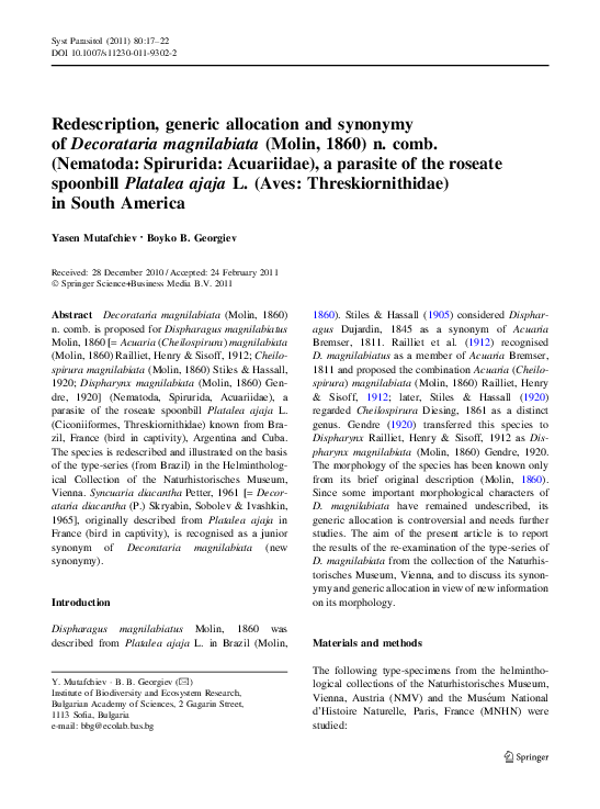(PDF) Redescription, generic allocation and synonymy of Decorataria ...