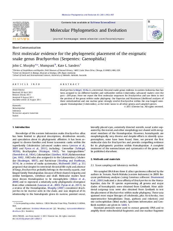 (PDF) First molecular evidence for the phylogenetic placement of the ...