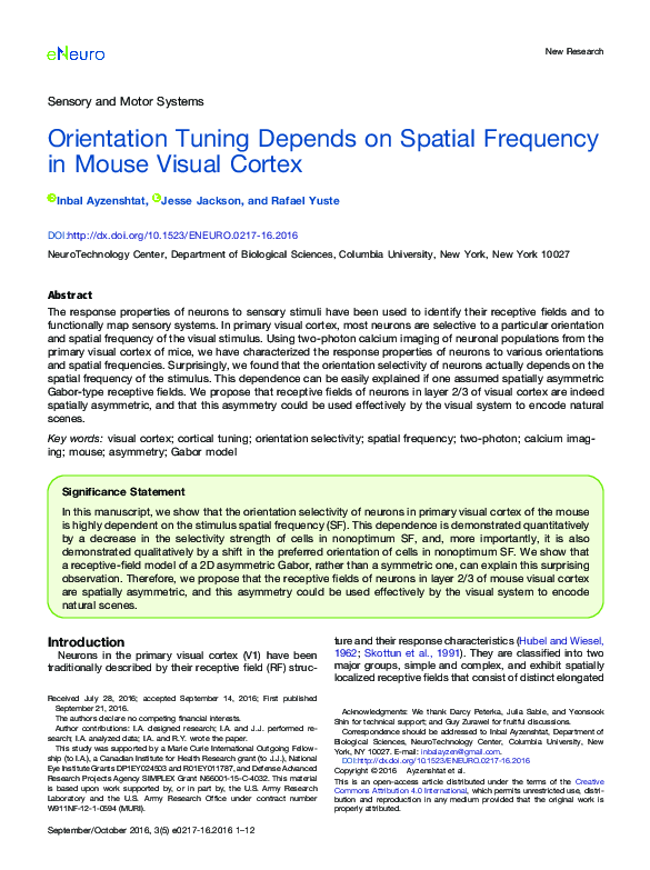(PDF) Orientation tuning depends on spatial frequency in mouse visual cortex