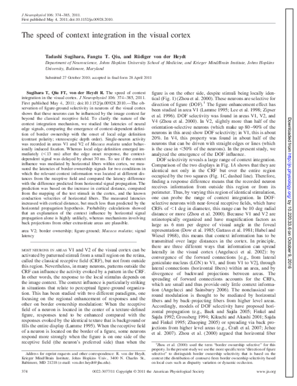 (PDF) The speed of context integration in the visual cortex